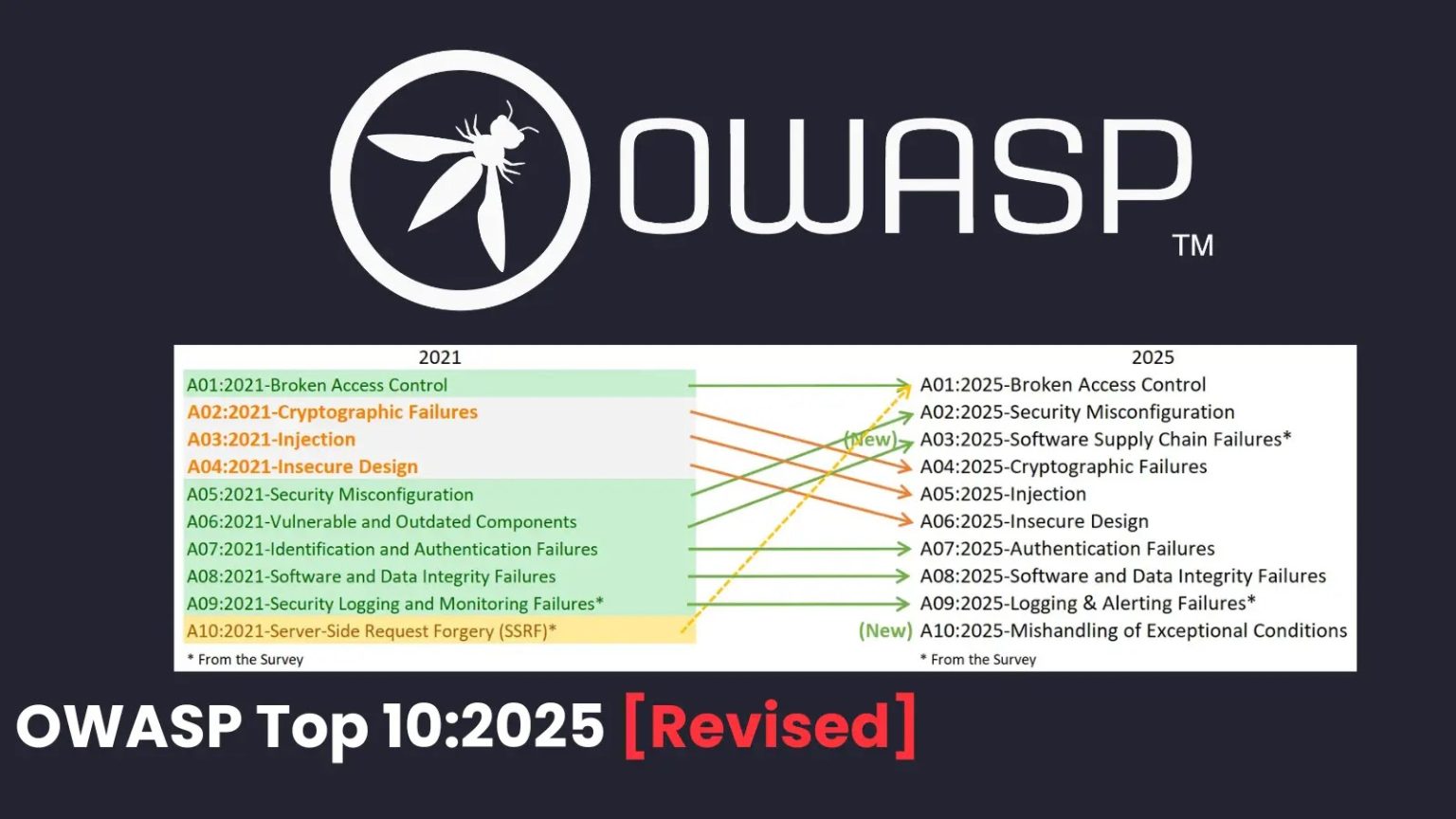 OWASP Top 10 2025 – Revised Version Released With Two New Categories ...